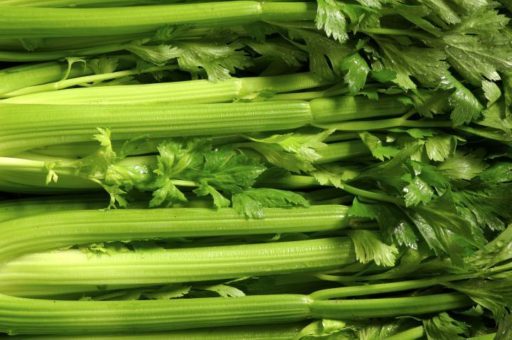 Celery Box 1st Grade - EarthyMamma